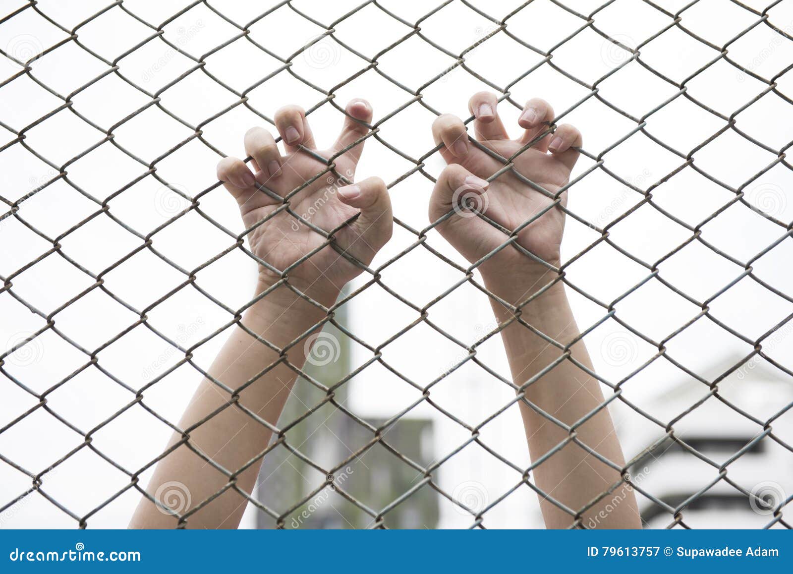 Hand Catching Mesh Cage. the Prisoner Want Freedom. Stock Image - Image ...