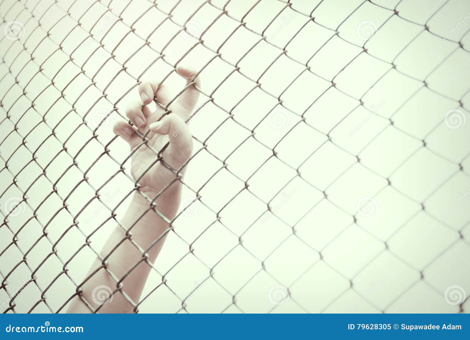 Hand Catching Mesh Cage. the Prisoner Want Freedom. Stock Image - Image ...