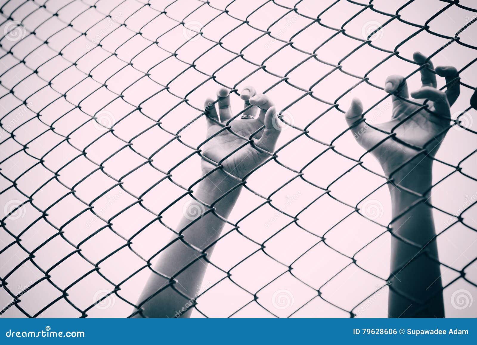 Hand Catching Mesh Cage.. the Prisoner Want Freedom. Stock Photo ...