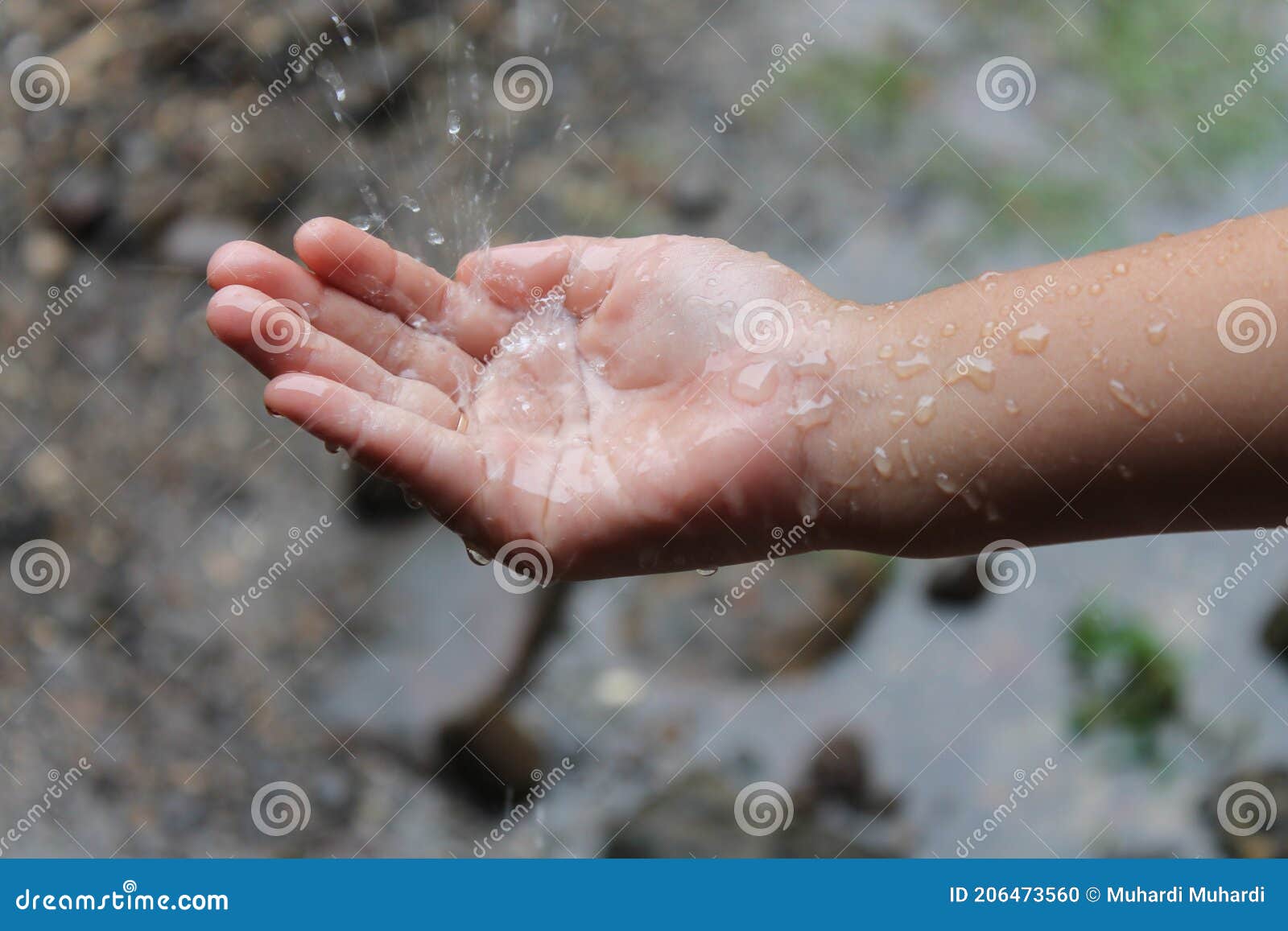 A Hand that are Catching Rainwater Stock Photo - Image of soil ...