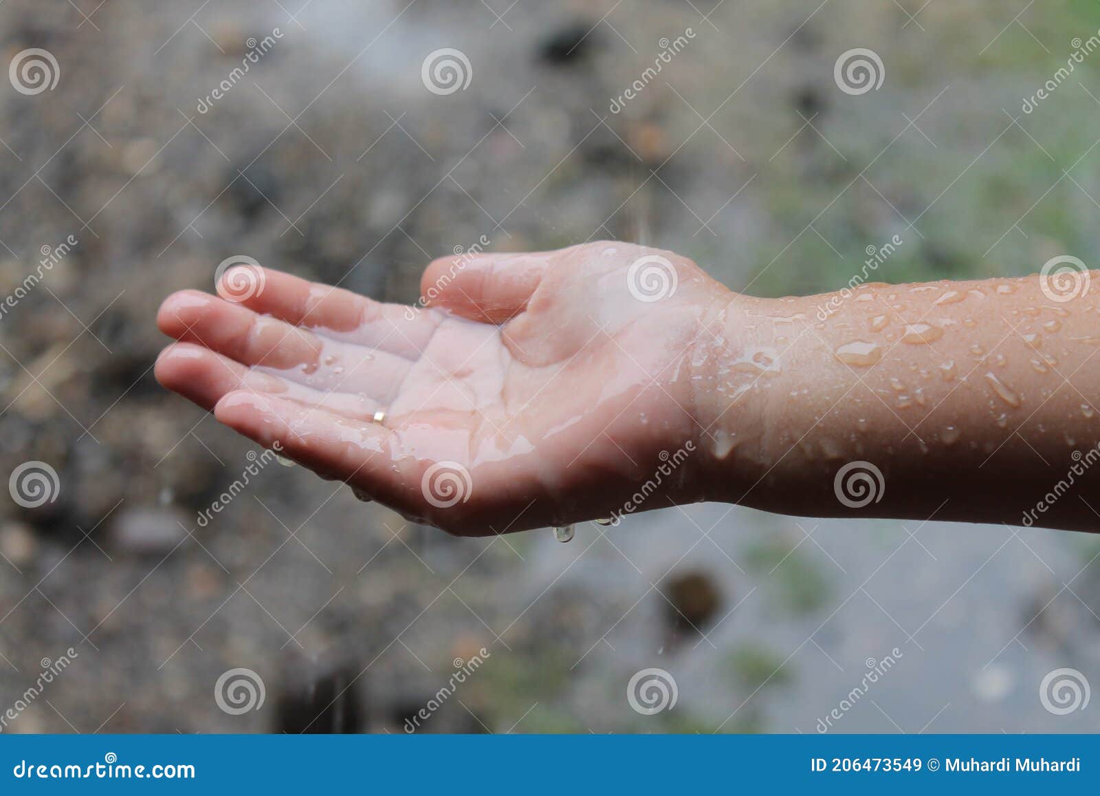 A Hand that are Catching Rainwater Stock Image - Image of person ...