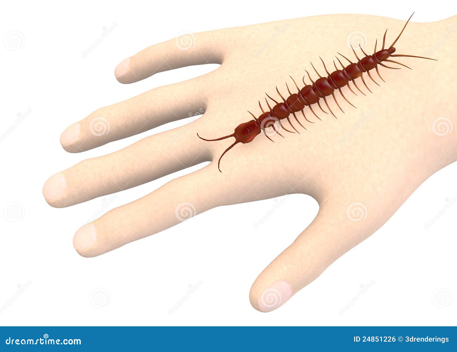 Hand With Centipede Stock Photo | CartoonDealer.com #24851226