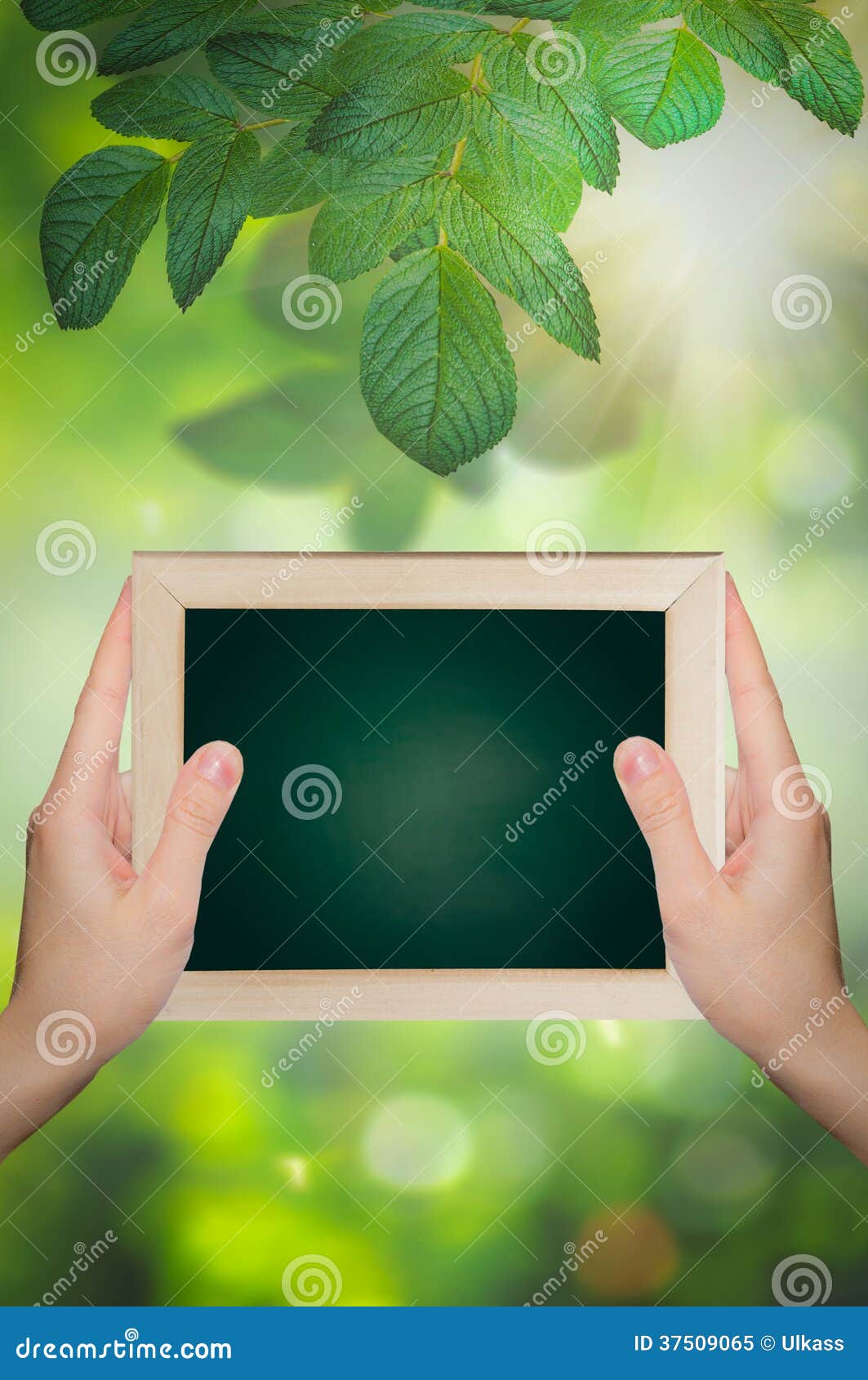 Hand with Chalk Writing on Blackboard. Stock Image - Image of person ...