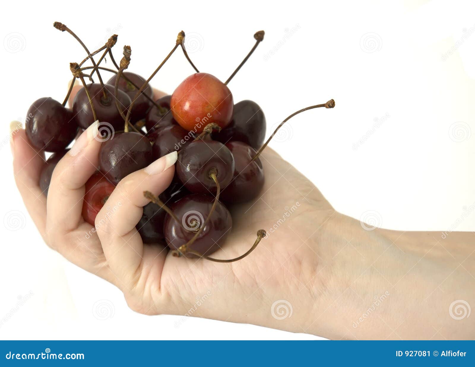 Hand and cherries stock image. Image of isolated, cherries - 927081