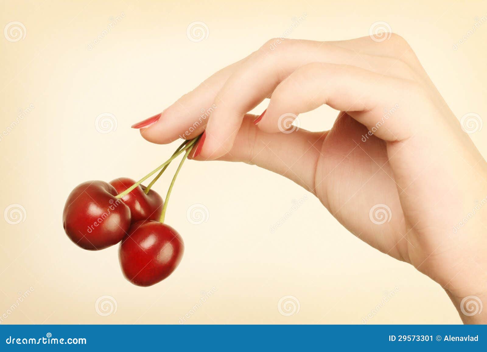 Hand with cherry stock image. Image of juice, appetizing - 29573301