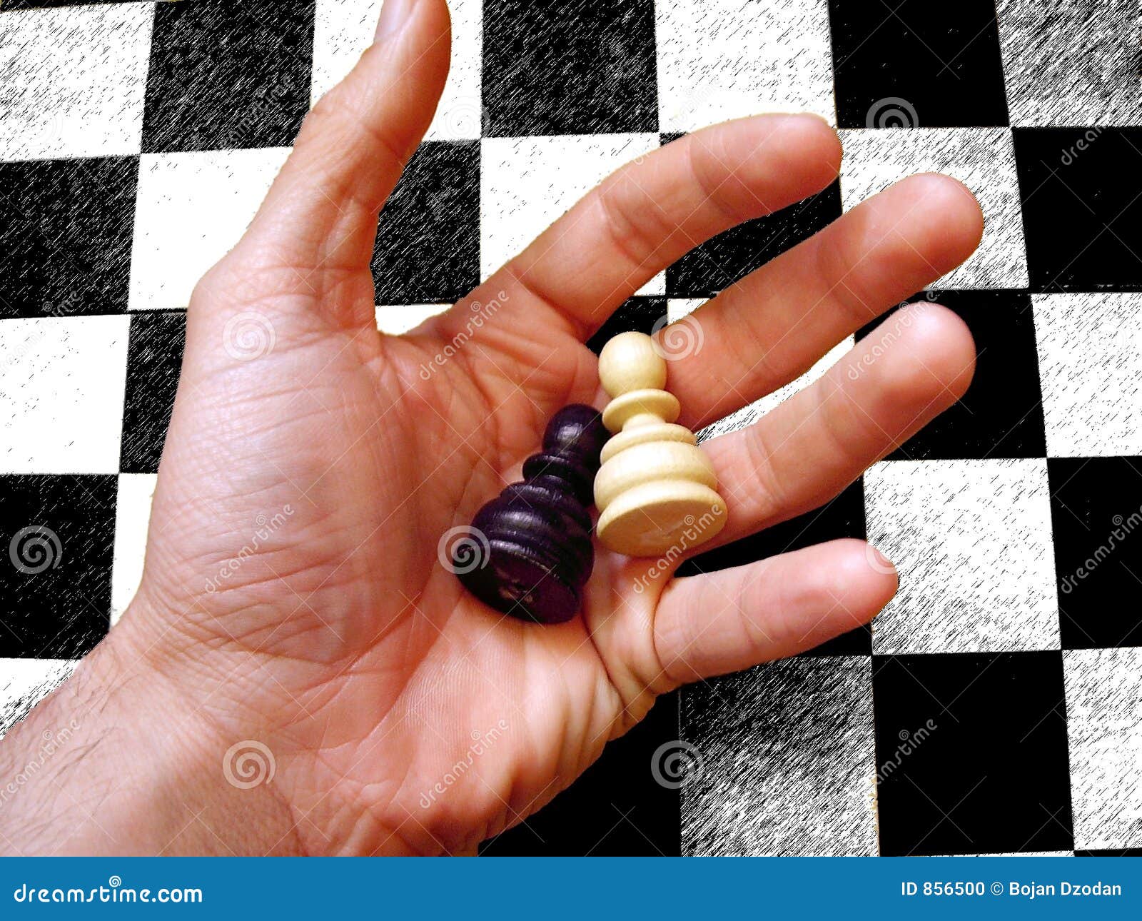 Hand with chess pawns stock photo. Image of hand, game - 856500