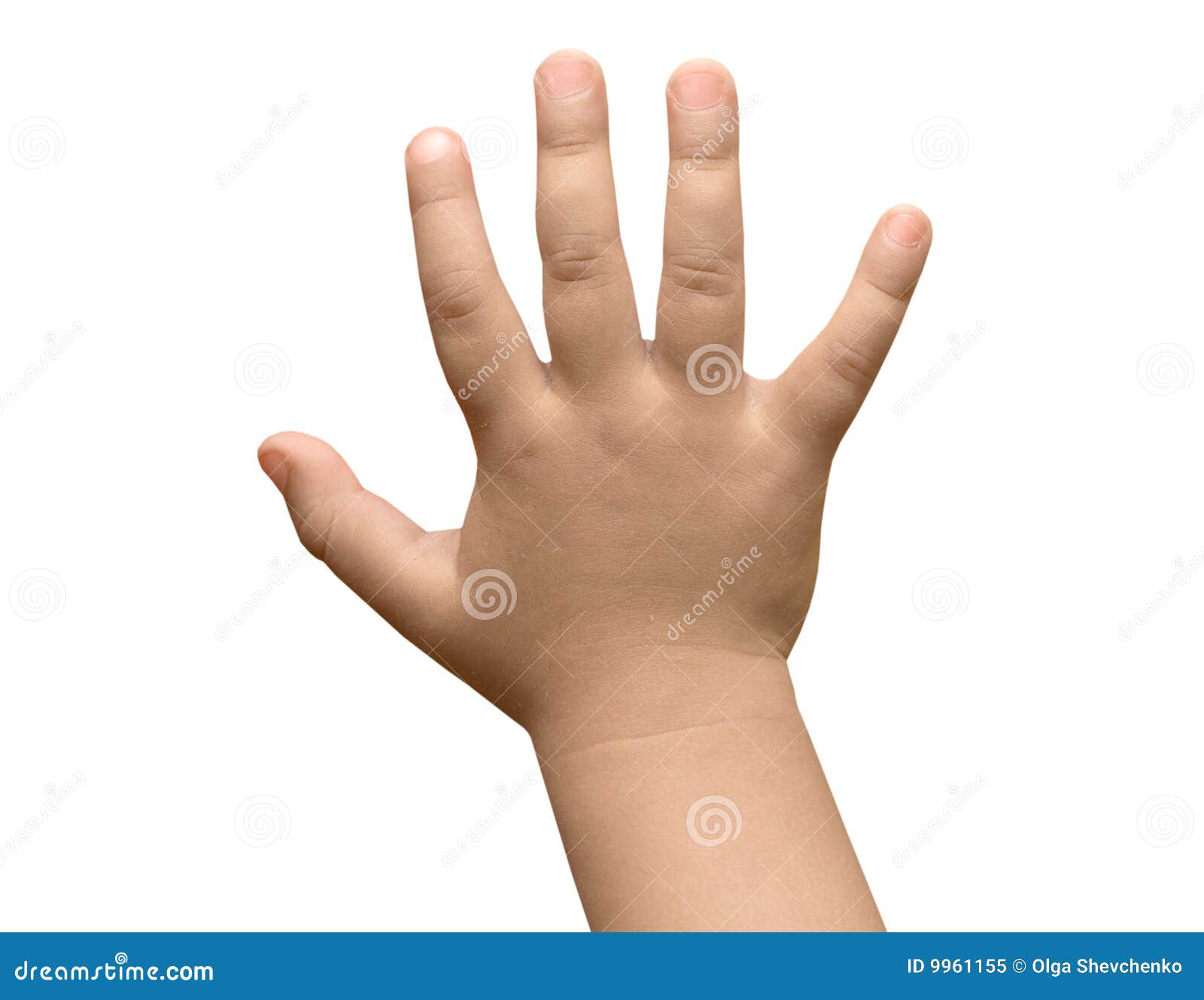 Hand of the child stock image. Image of isolated, people - 9961155