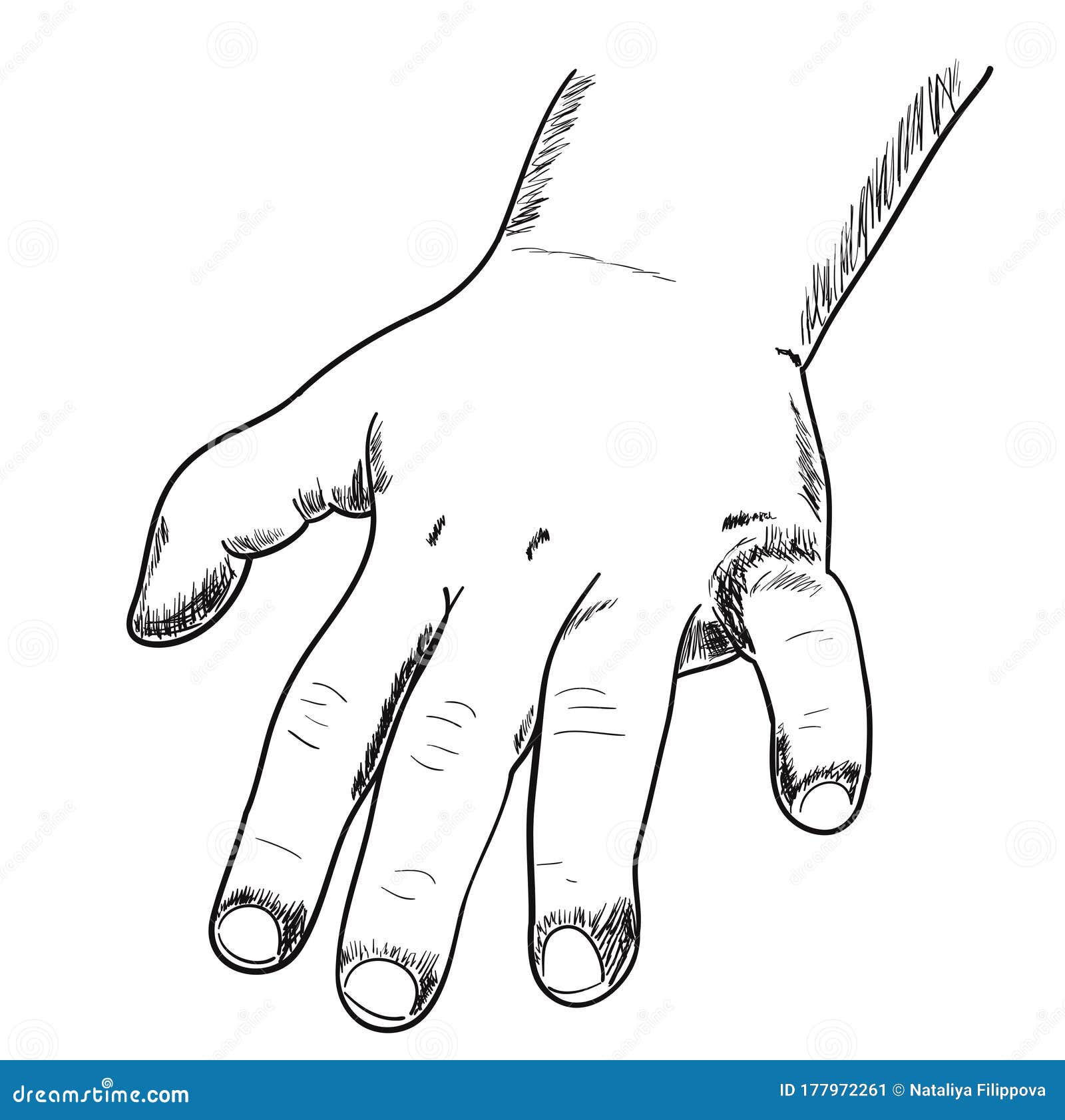 Hand of child stock vector. Illustration of sketch, finger - 177972261
