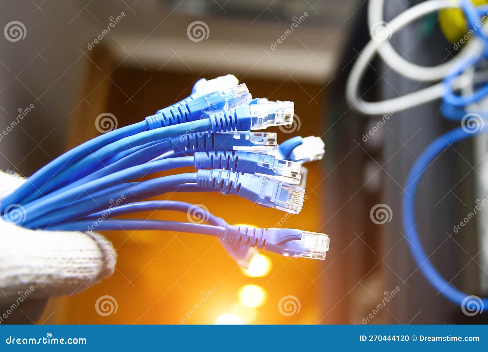 Lots Of Network Cables And RJ45 Head UTP LAN Cable Signal Ethernet For ...