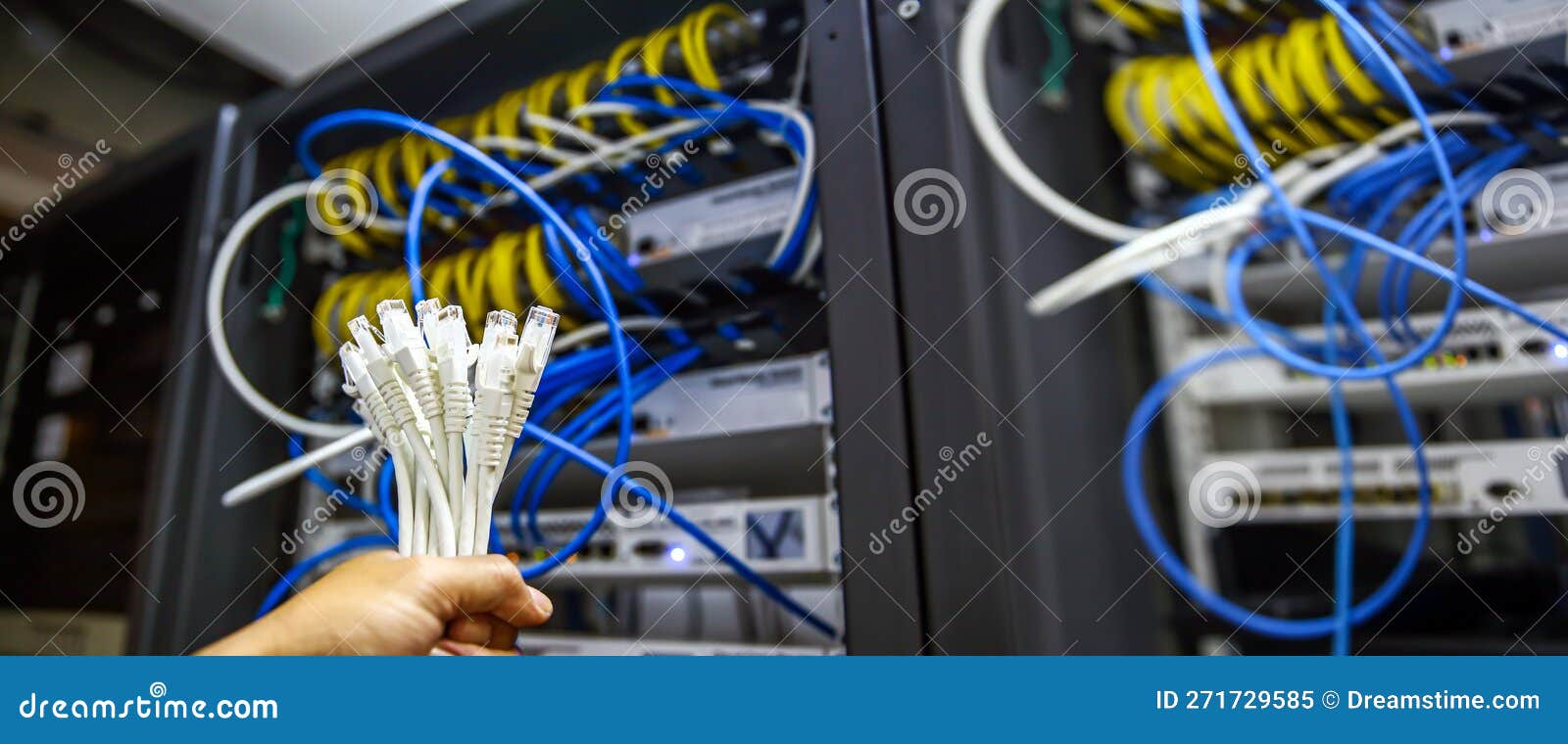 Hand Choose Lots of RJ45 UTP Cat6 LAN Internet Network Cable Fiber ...