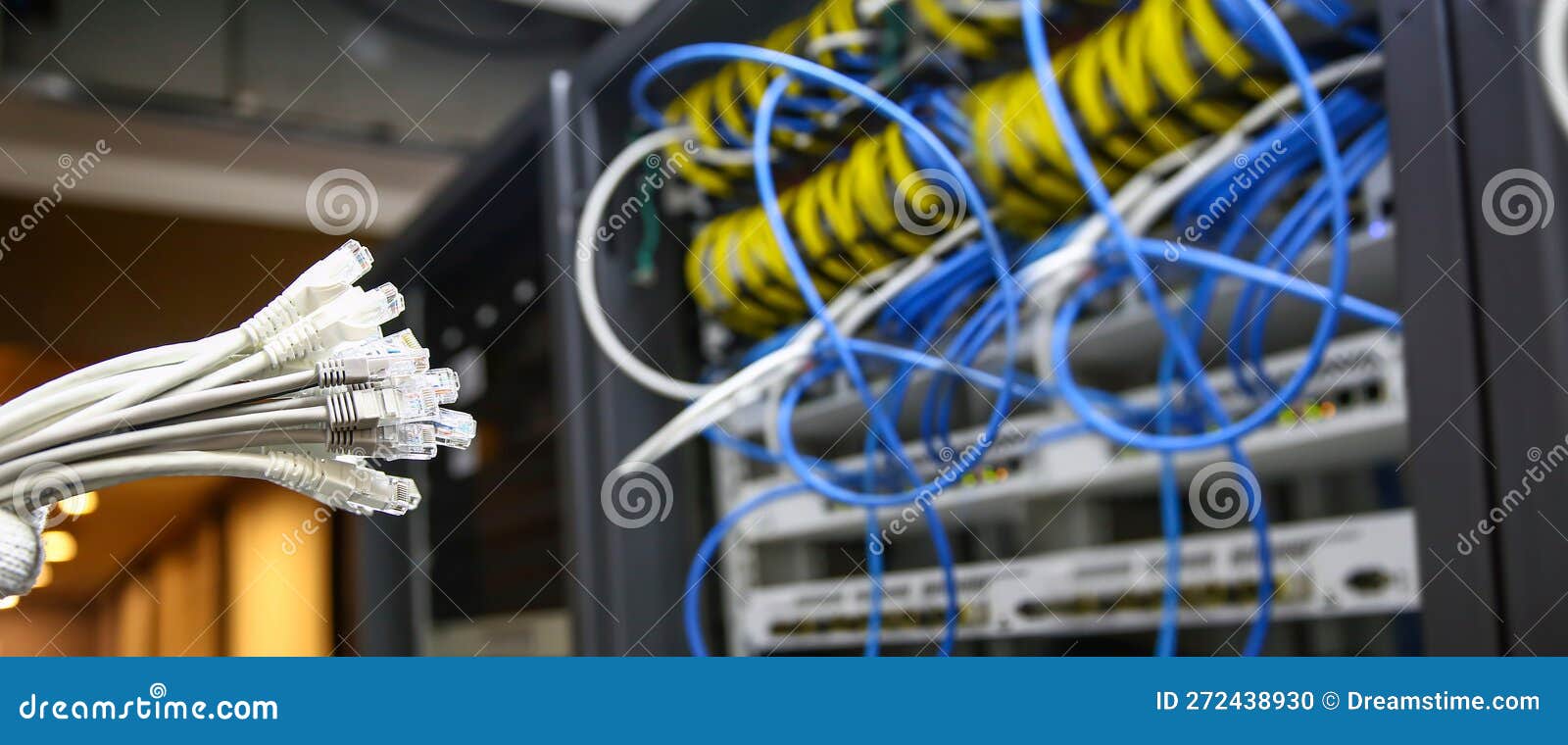 Lots Of Network Cables And RJ45 Head UTP LAN Cable Signal Ethernet For ...