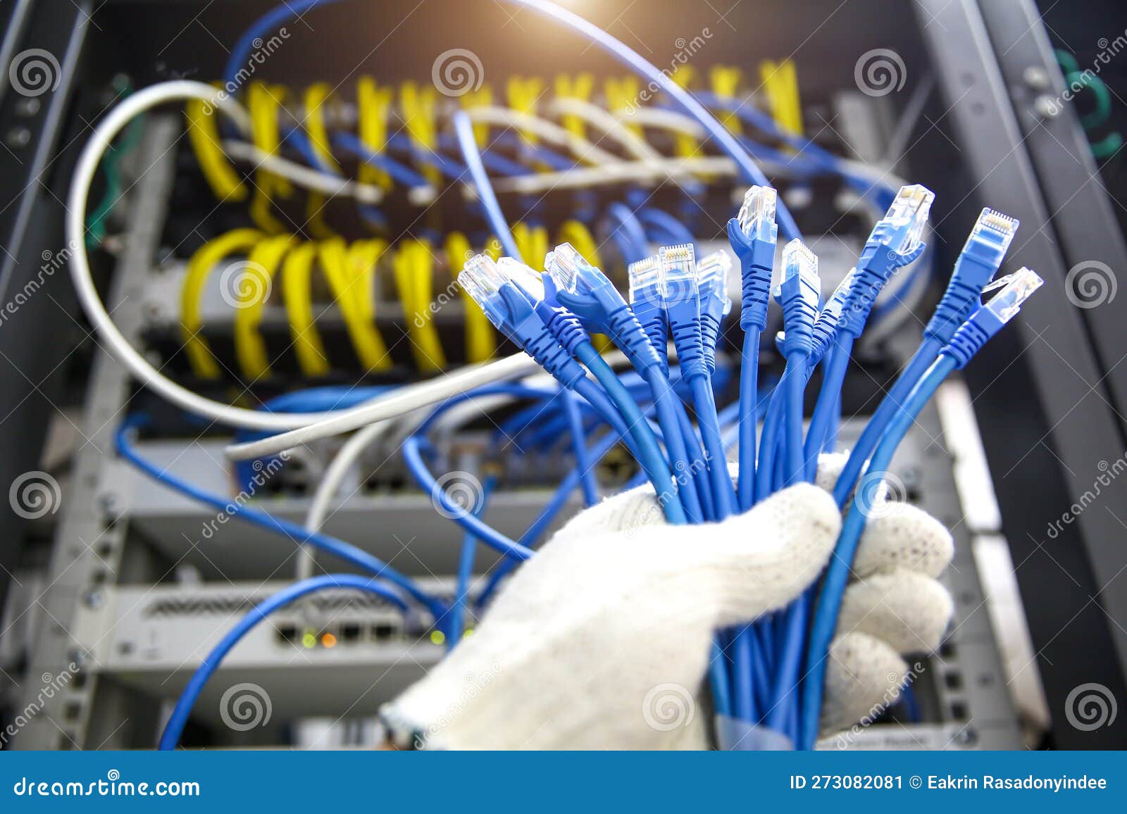 Lots Of Network Cables And RJ45 Head UTP LAN Cable Signal Ethernet For ...