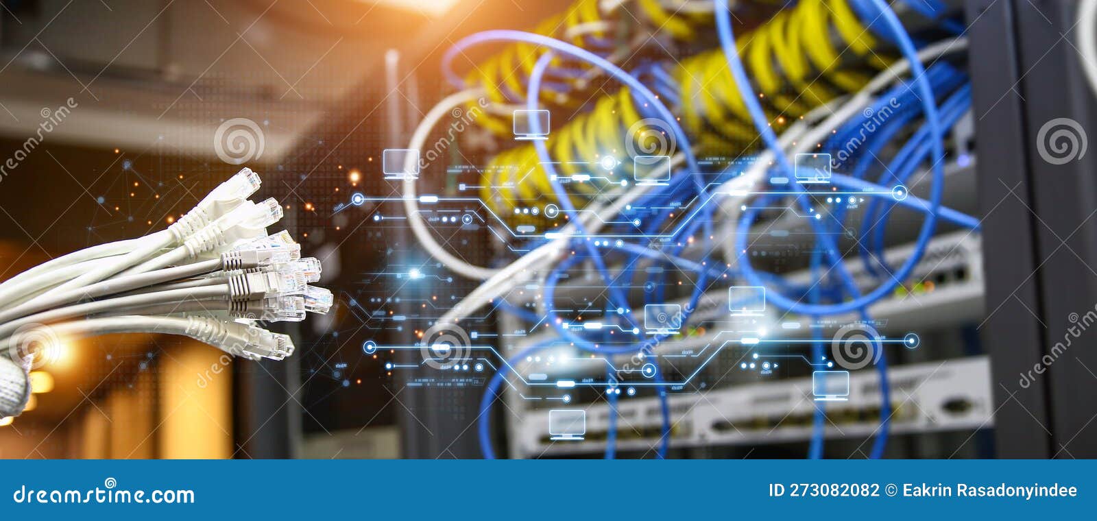 Hand Choose Lots of RJ45 UTP Cat6 LAN Internet Network Cable Fiber ...