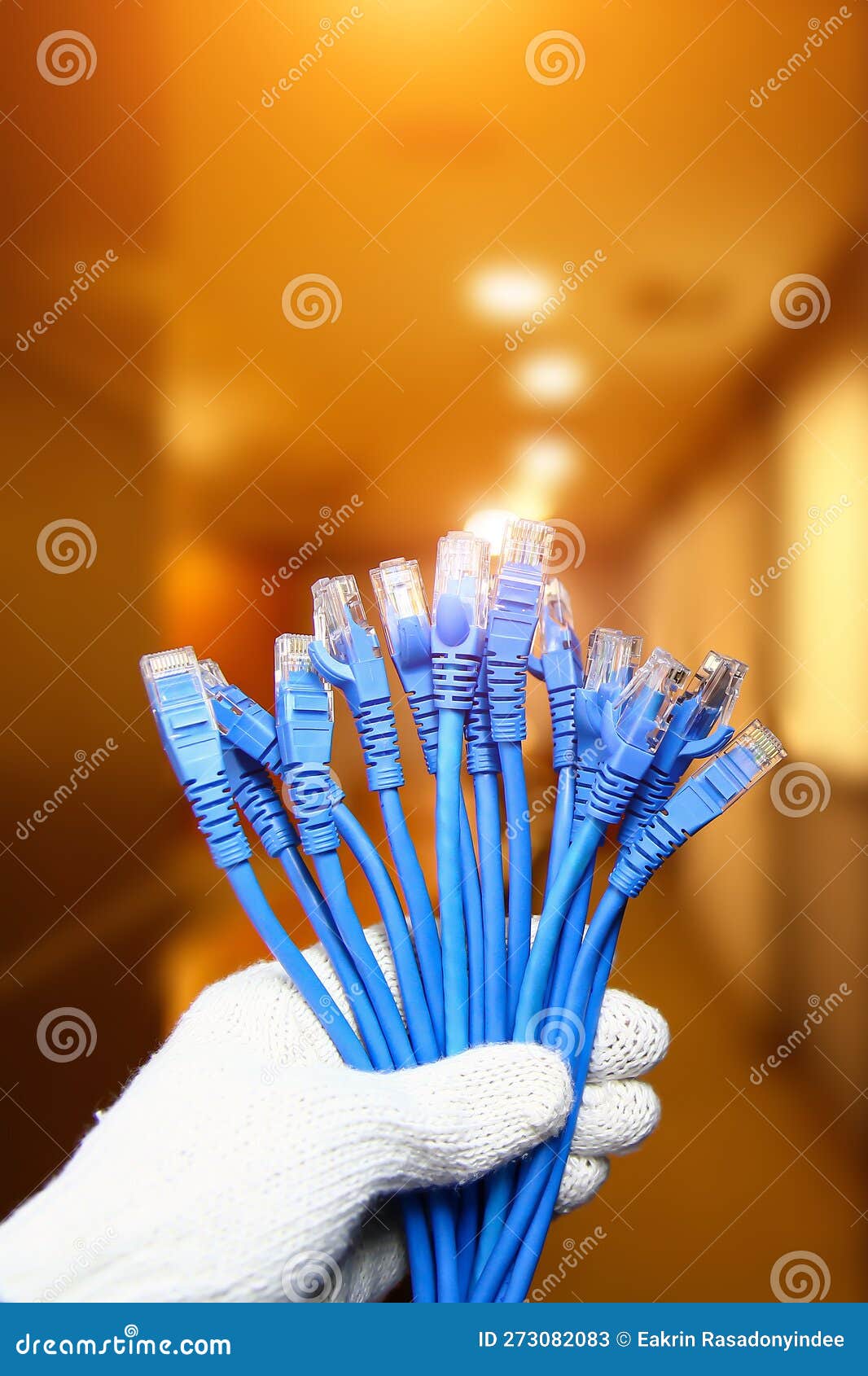 Lots Of Network Cables And RJ45 Head UTP LAN Cable Signal Ethernet For ...