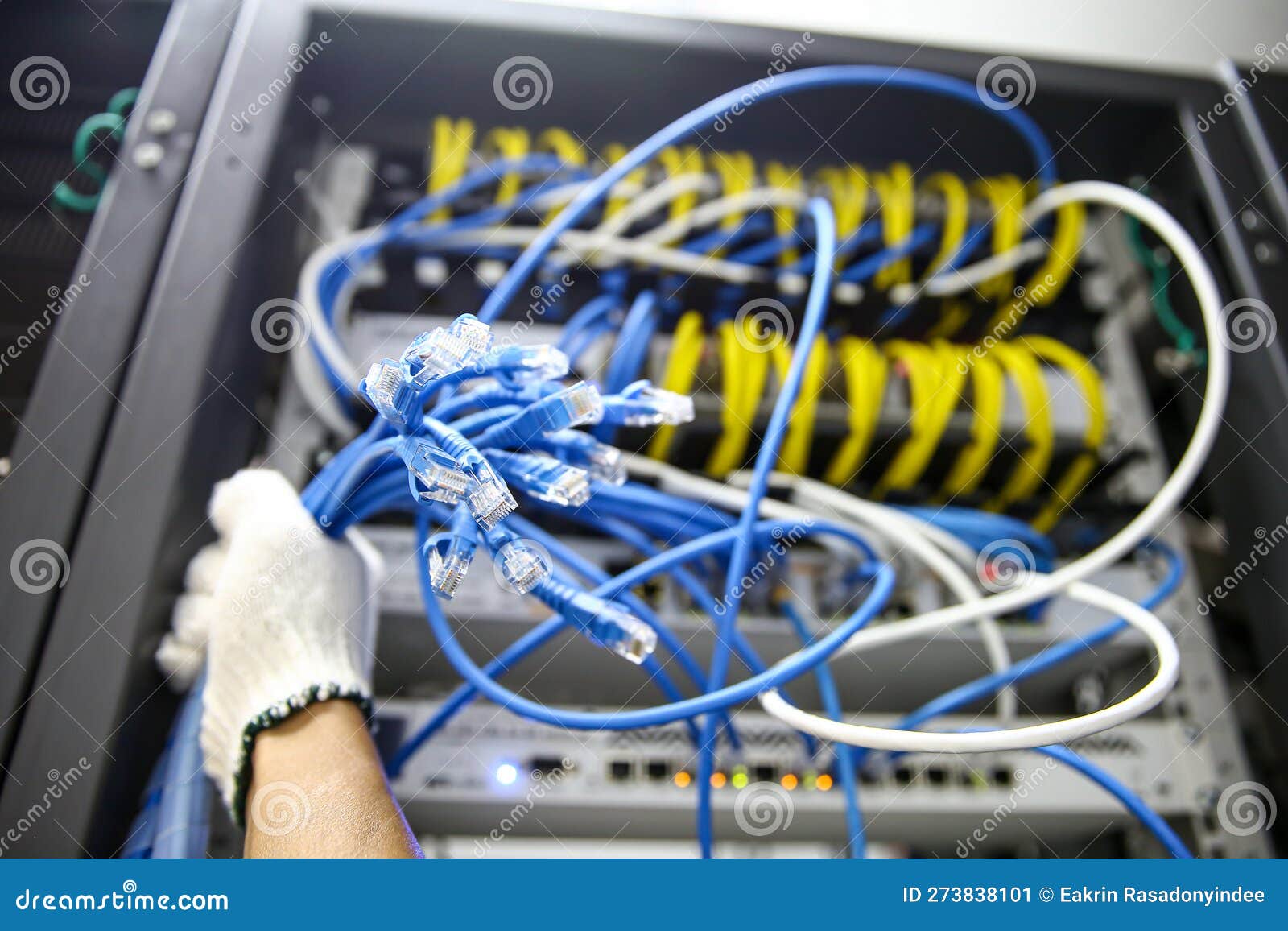 Lots Of Network Cables And RJ45 Head UTP LAN Cable Signal Ethernet For ...