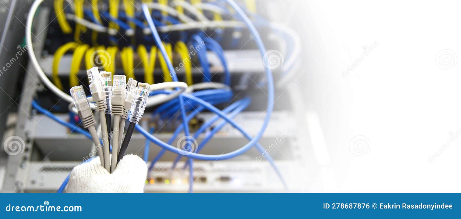 Hand Choose Lots of RJ45 UTP Cat6 LAN Internet Network Cable Fiber ...