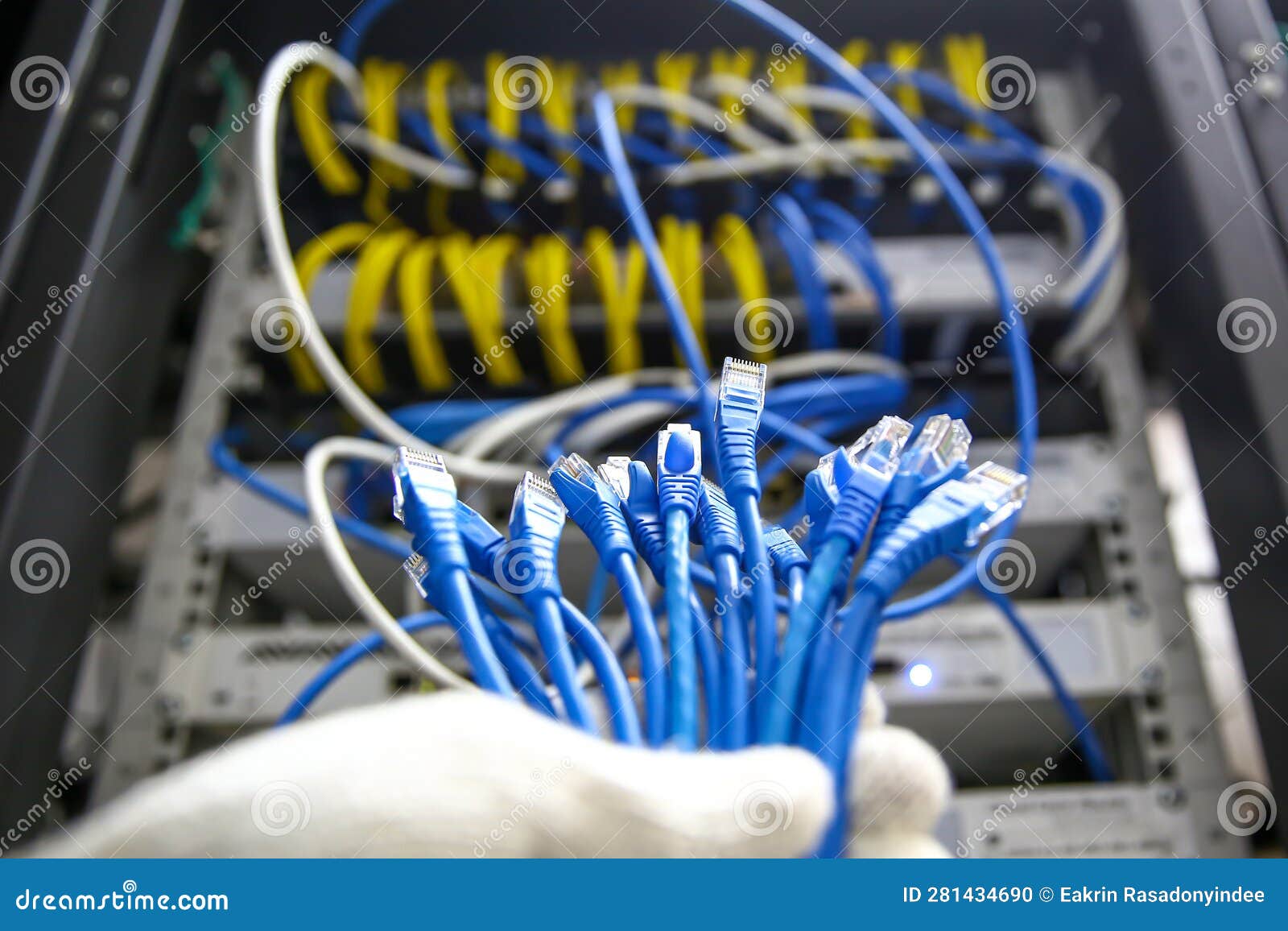 Hand Choose Lots of RJ45 UTP Cat6 LAN Internet Network Cable Fiber ...