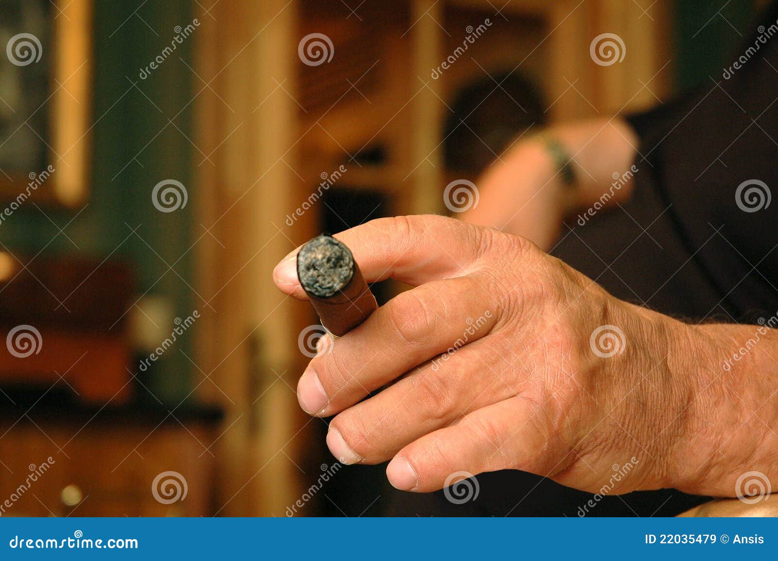 Hand with cigar stock image. Image of business, smoke - 22035479