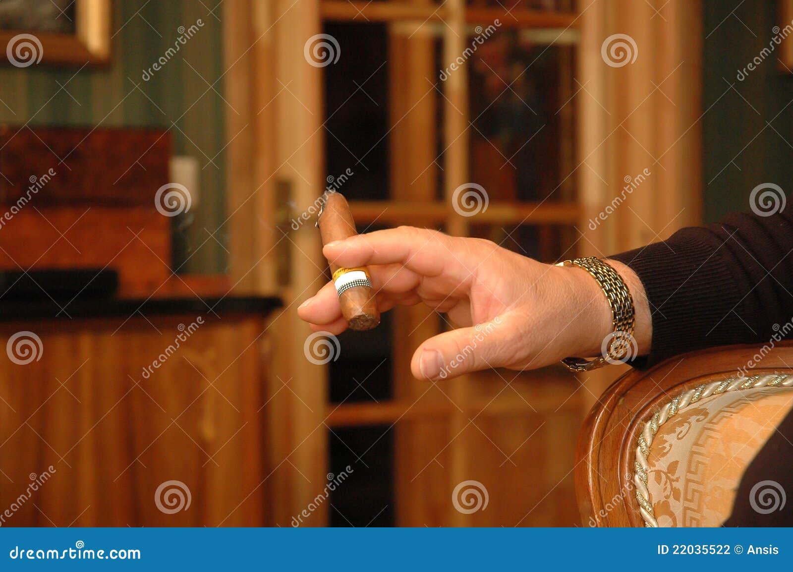Hand with cigar stock photo. Image of relaxed, business - 22035522