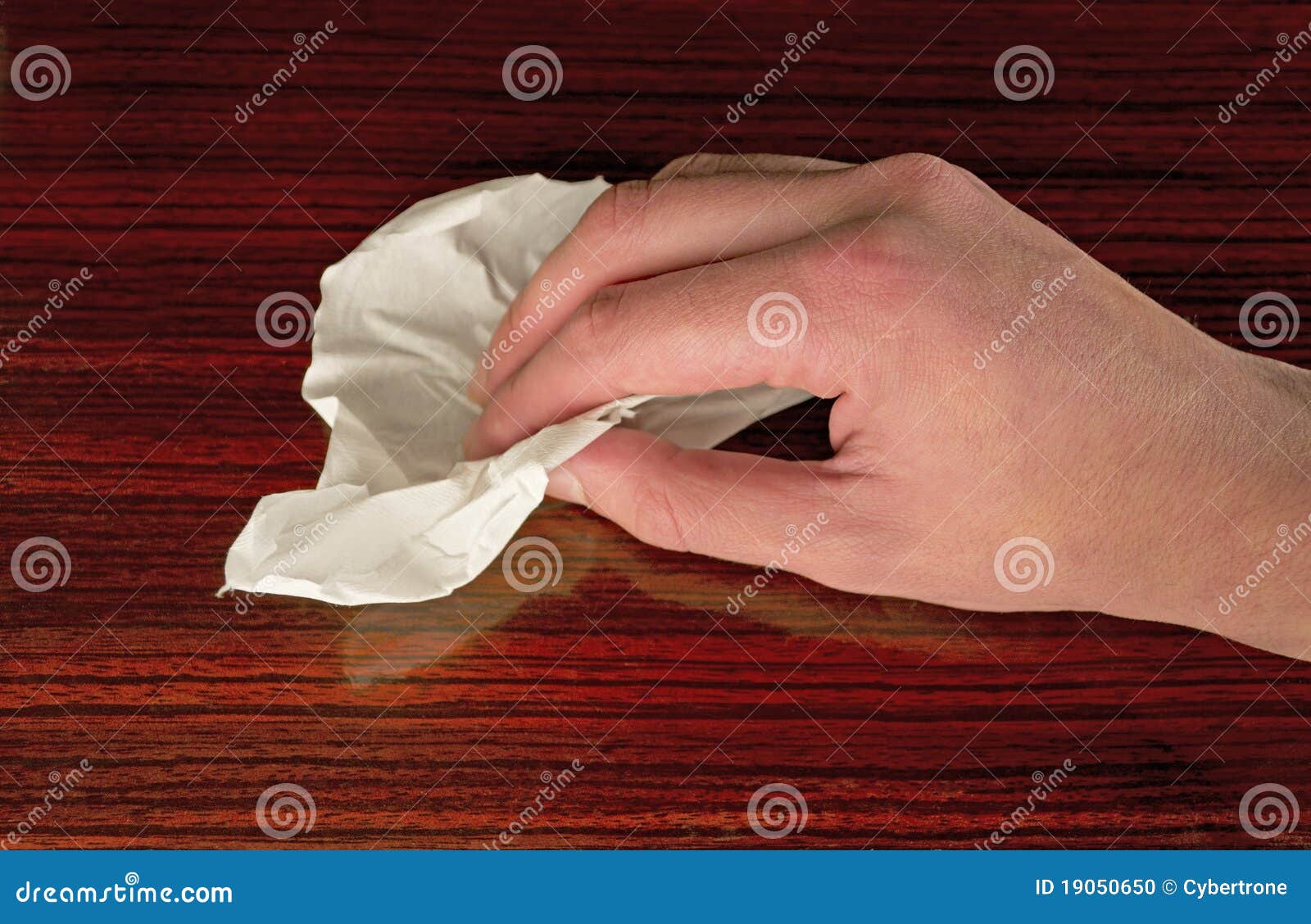 Hand cleaning dust stock photo. Image of tissue, dust - 19050650