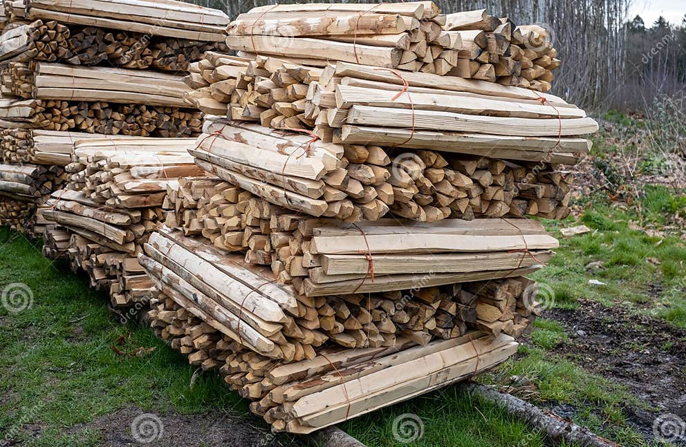 Hand Cleft Chestnut Coppiced Pales Stock Image - Image of wooden ...