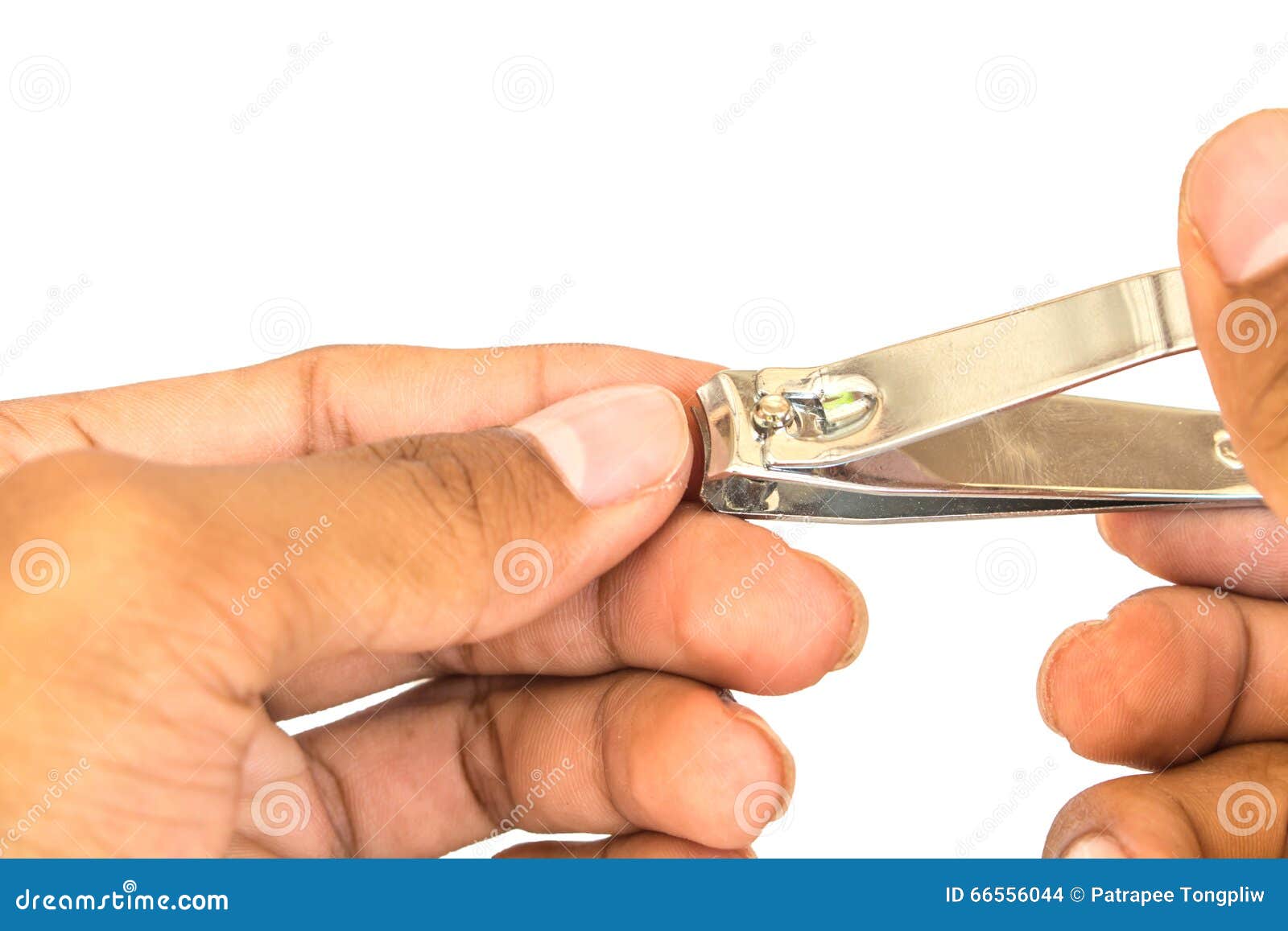 Hand Clippers White Isolated Stock Photo - Image of tool, isolated ...
