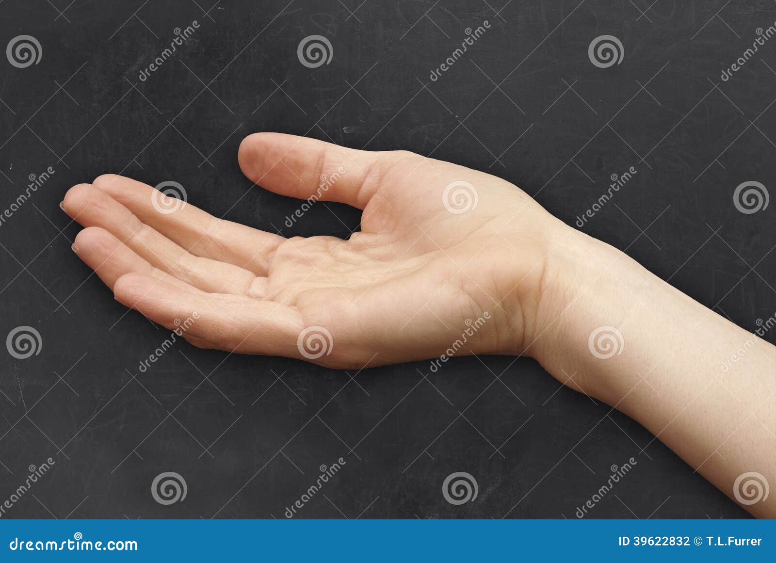 Hand with Clipping Path stock photo. Image of hand, palm - 39622832