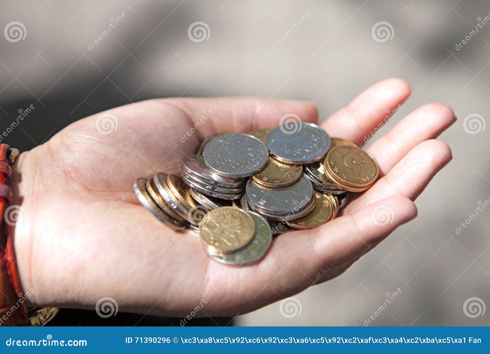 Hand with coins stock photo. Image of concept, finance - 71390296