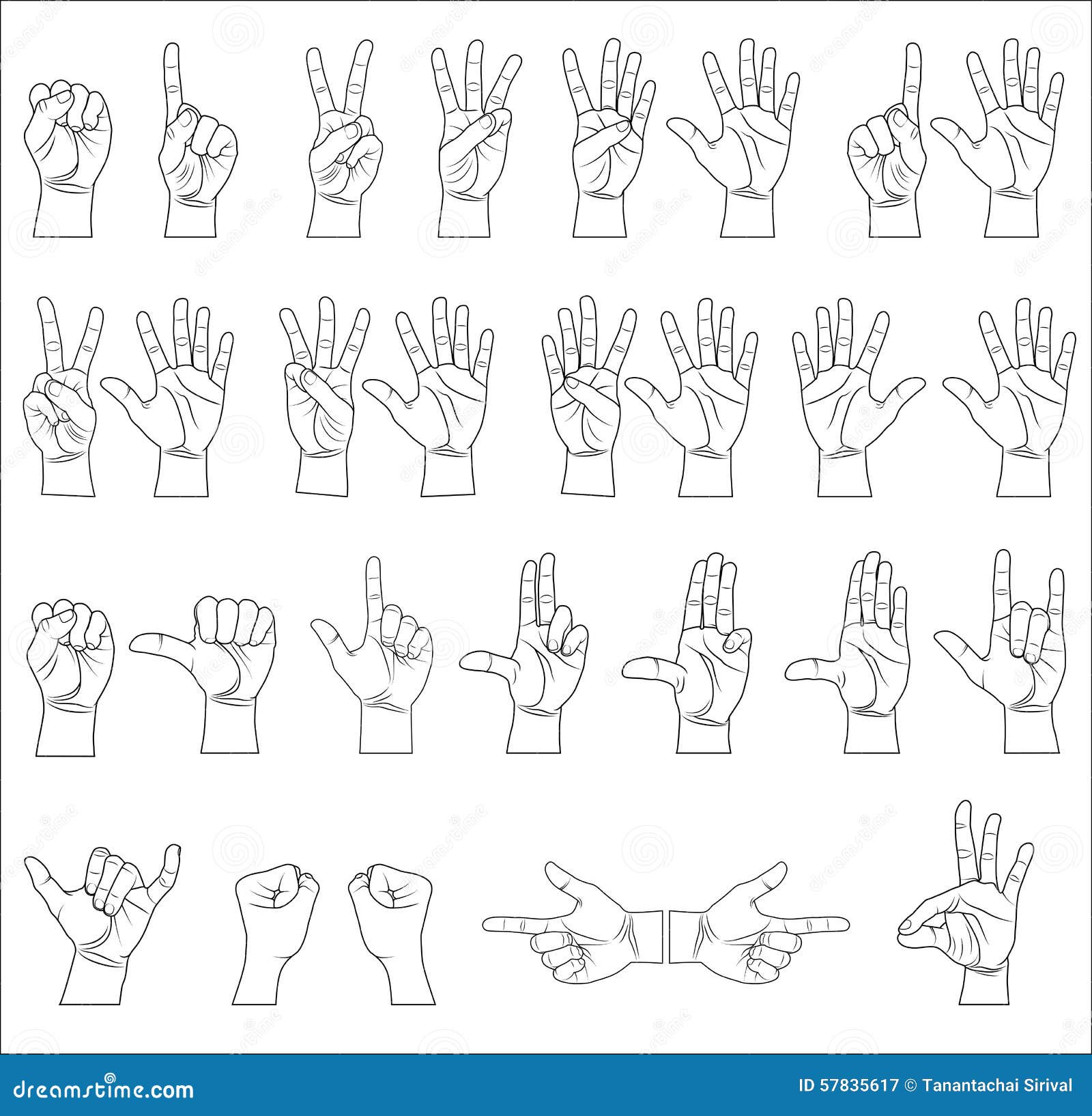 Hand Collection. Hands Holding Signs And Blanks. Black Silhouette ...