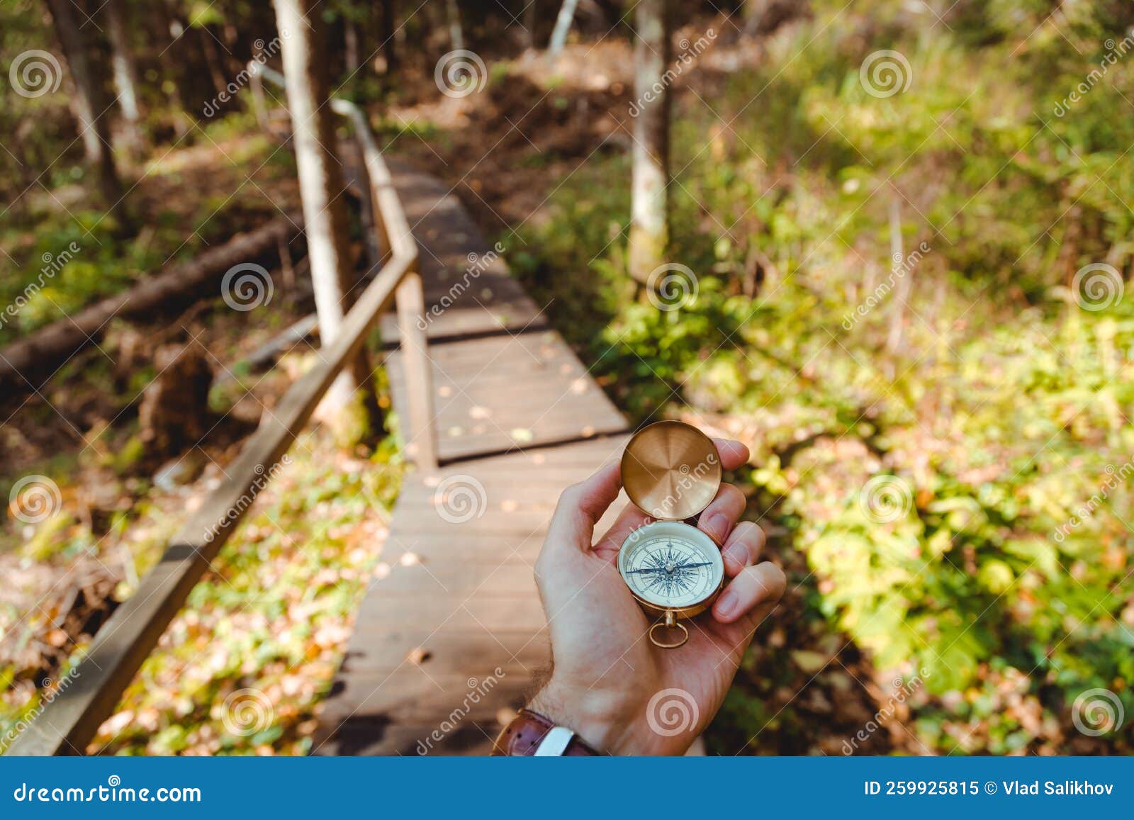 Hand with Compass in Forest Terrain. POV Travel Concept Stock Image ...