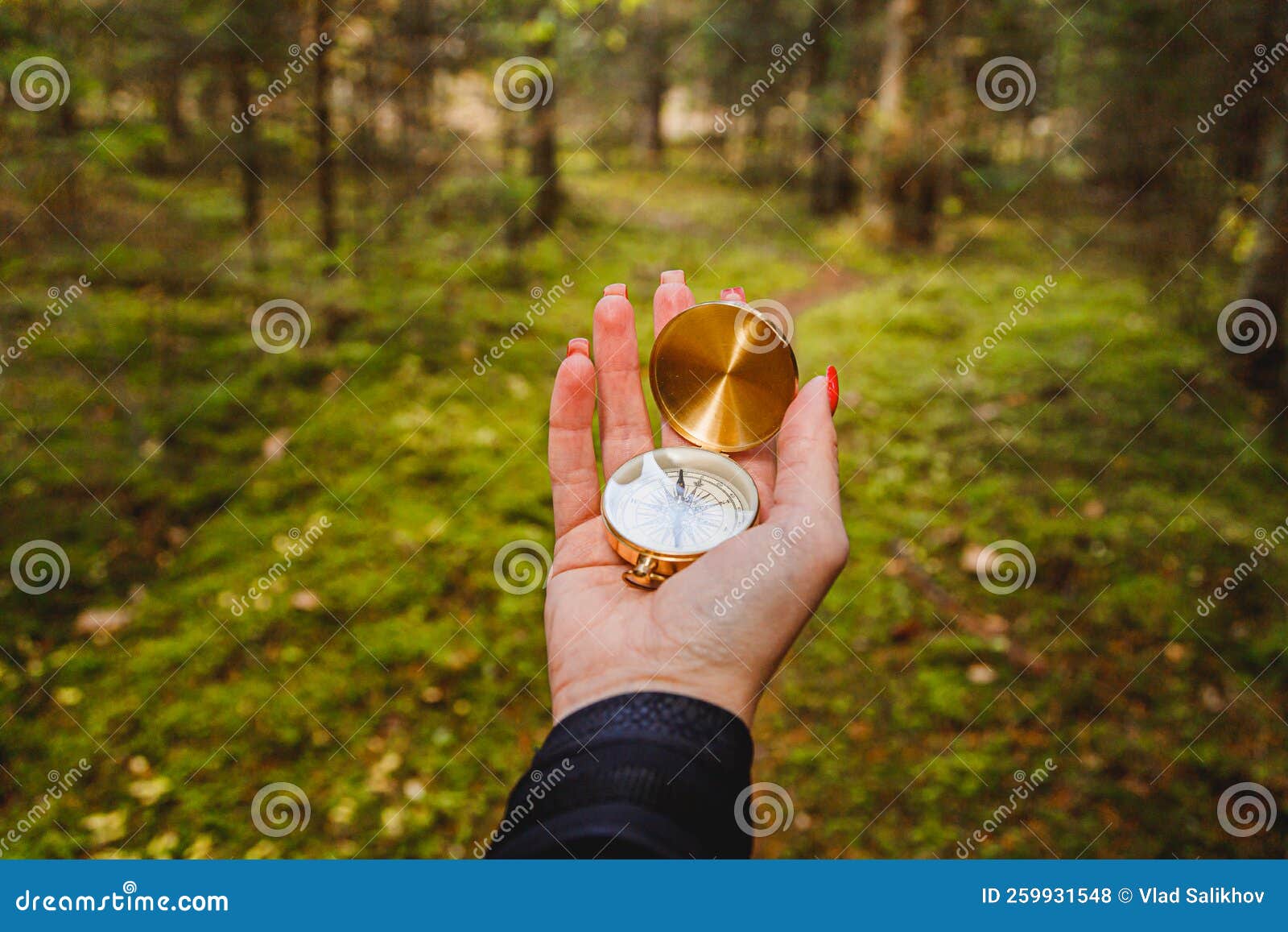 Hand with Compass in Forest Terrain. POV Travel Concept Stock Photo ...