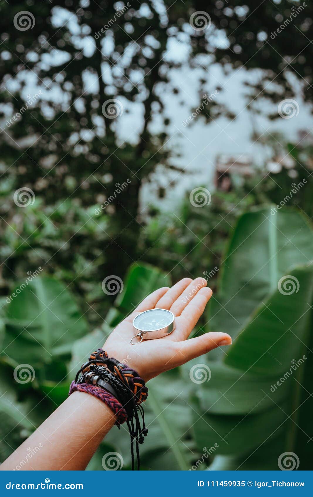 Hand with Compass in the Lush Rainforest Jungle Stock Image - Image of ...