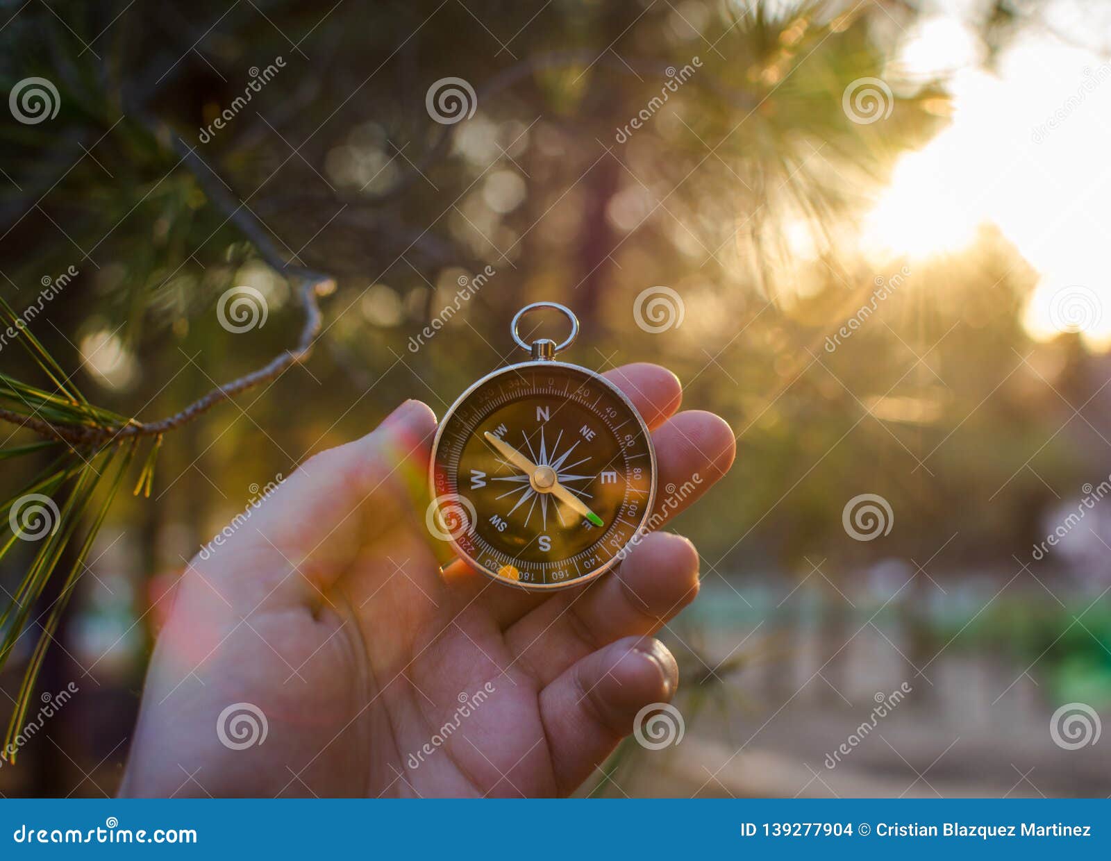 Compass in the Mountains and the Forest Stock Photo - Image of hand ...