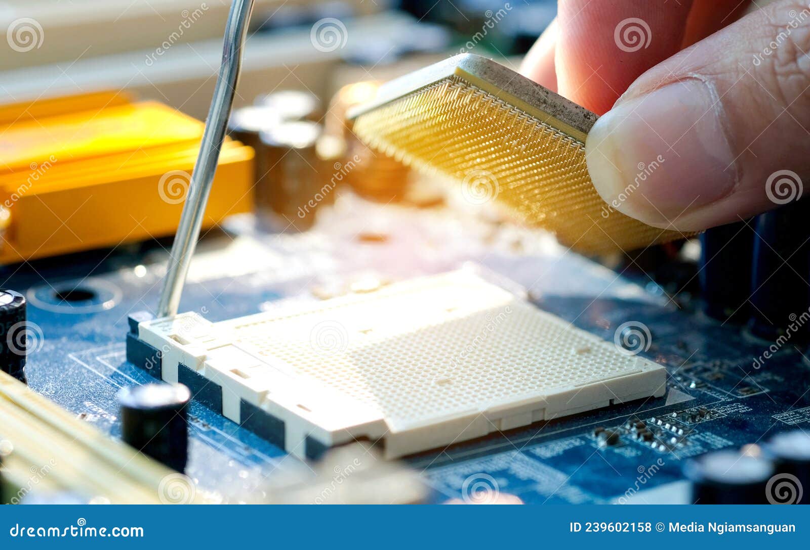 Hand of Computer Engineering Brings Computer Cpu Processor Memory Change Components into Socket ...