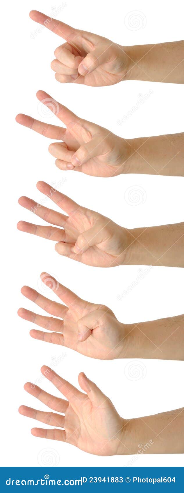 24,370 Hand Count Stock Photos - Free & Royalty-Free Stock Photos from ...