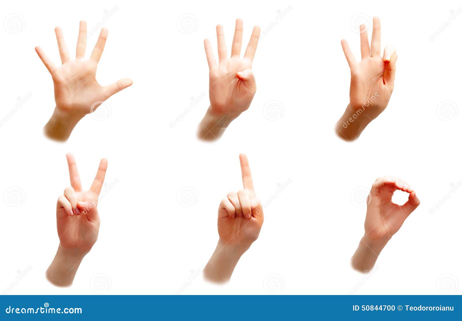 Hand countdown stock photo. Image of romance, scent, woman - 50844700