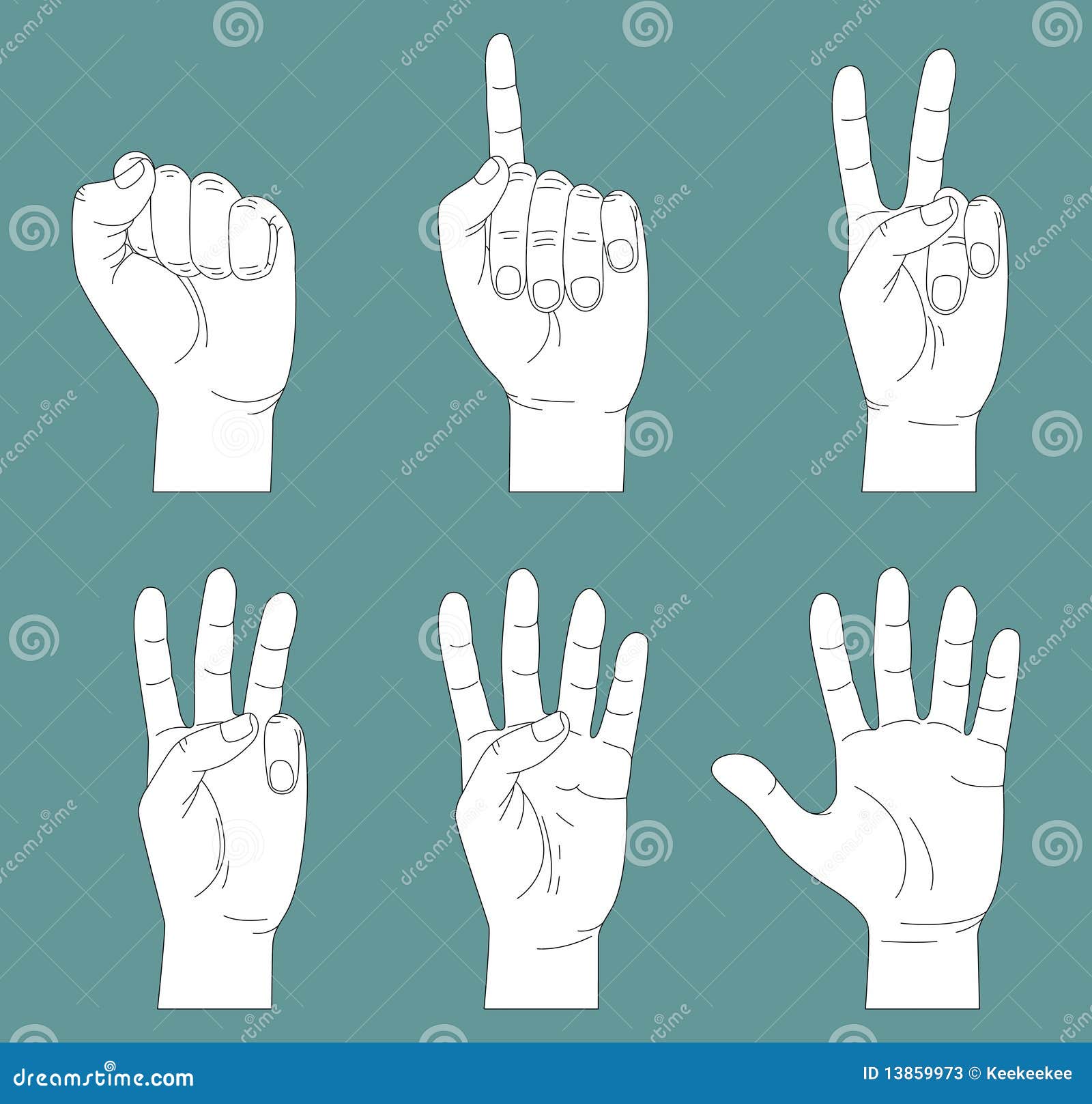 Hand counting stock vector. Illustration of show, study - 13859973