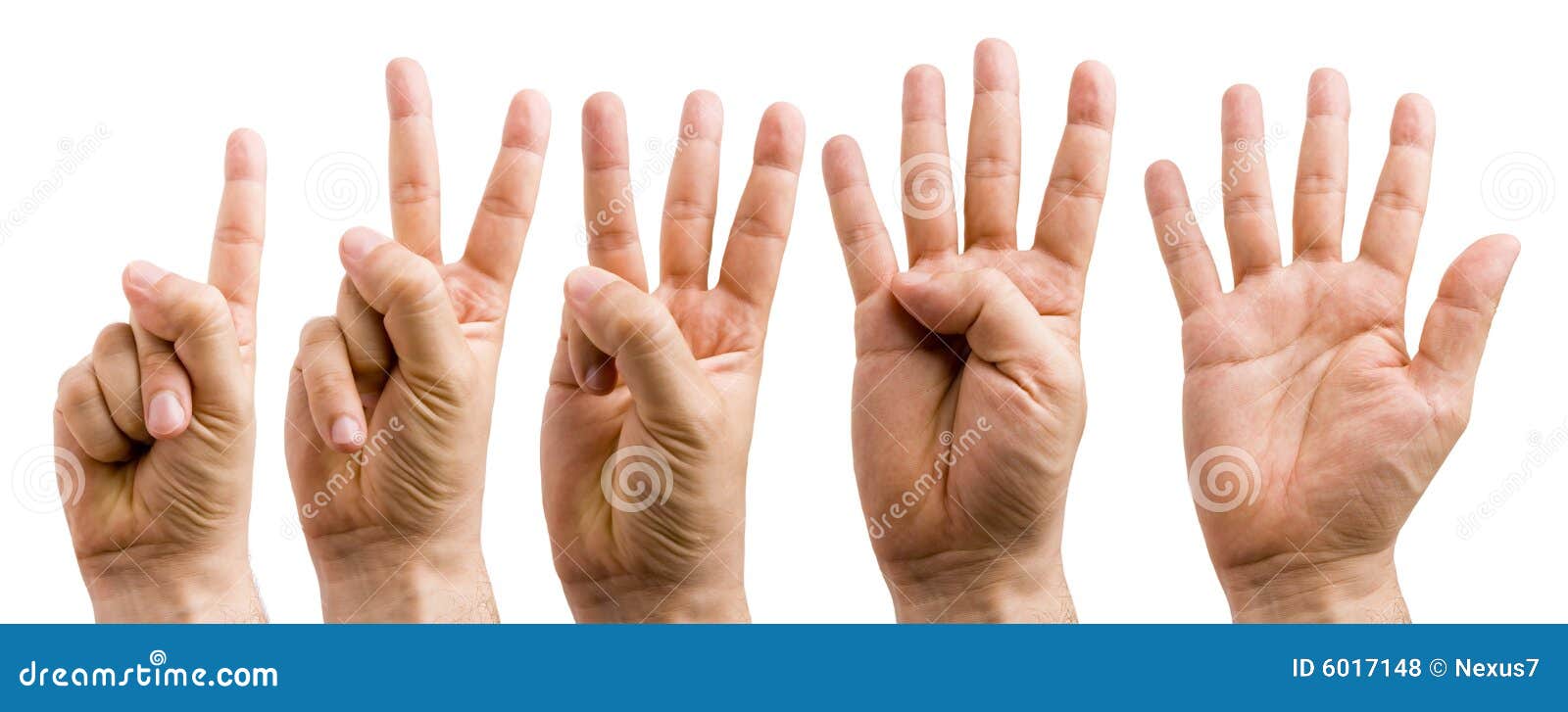 Hand Counting stock photo. Image of counting, palm, five - 6017148