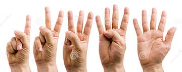 Hand Counting stock photo. Image of counting, palm, five - 6017148