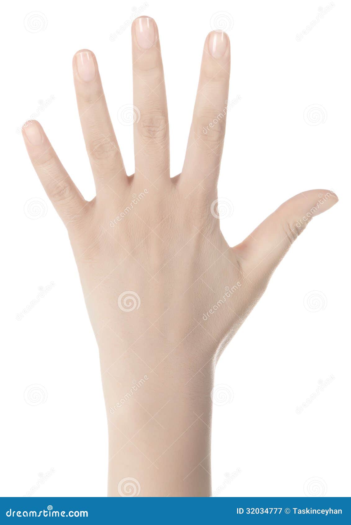 Hand counting: five stock image. Image of communication - 32034777