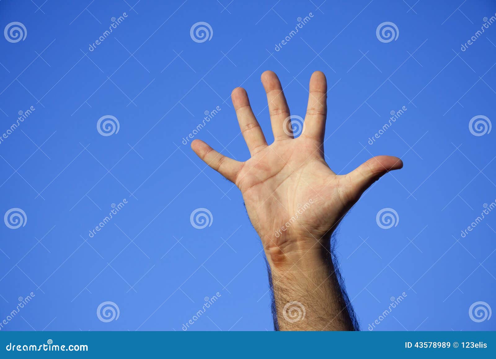 Hand Counting stock image. Image of concept, male, winner - 43578989