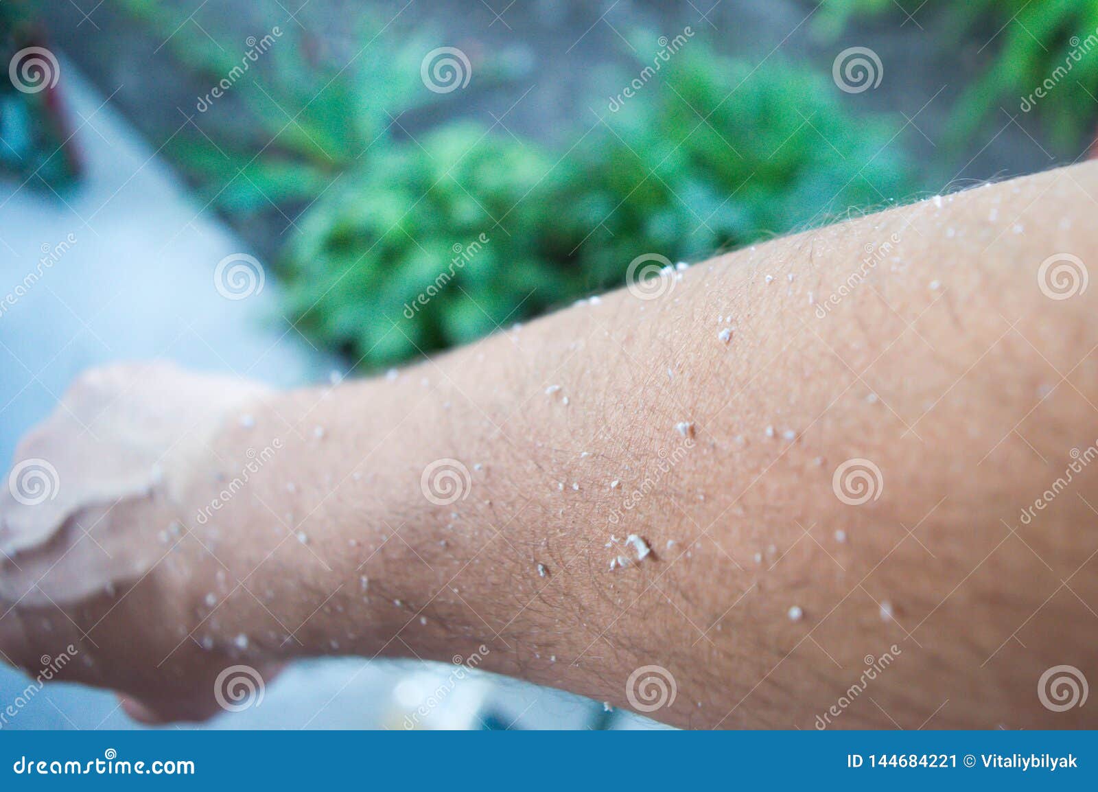 Ashes Hand Stock Images - Download 443 Royalty Free Photos