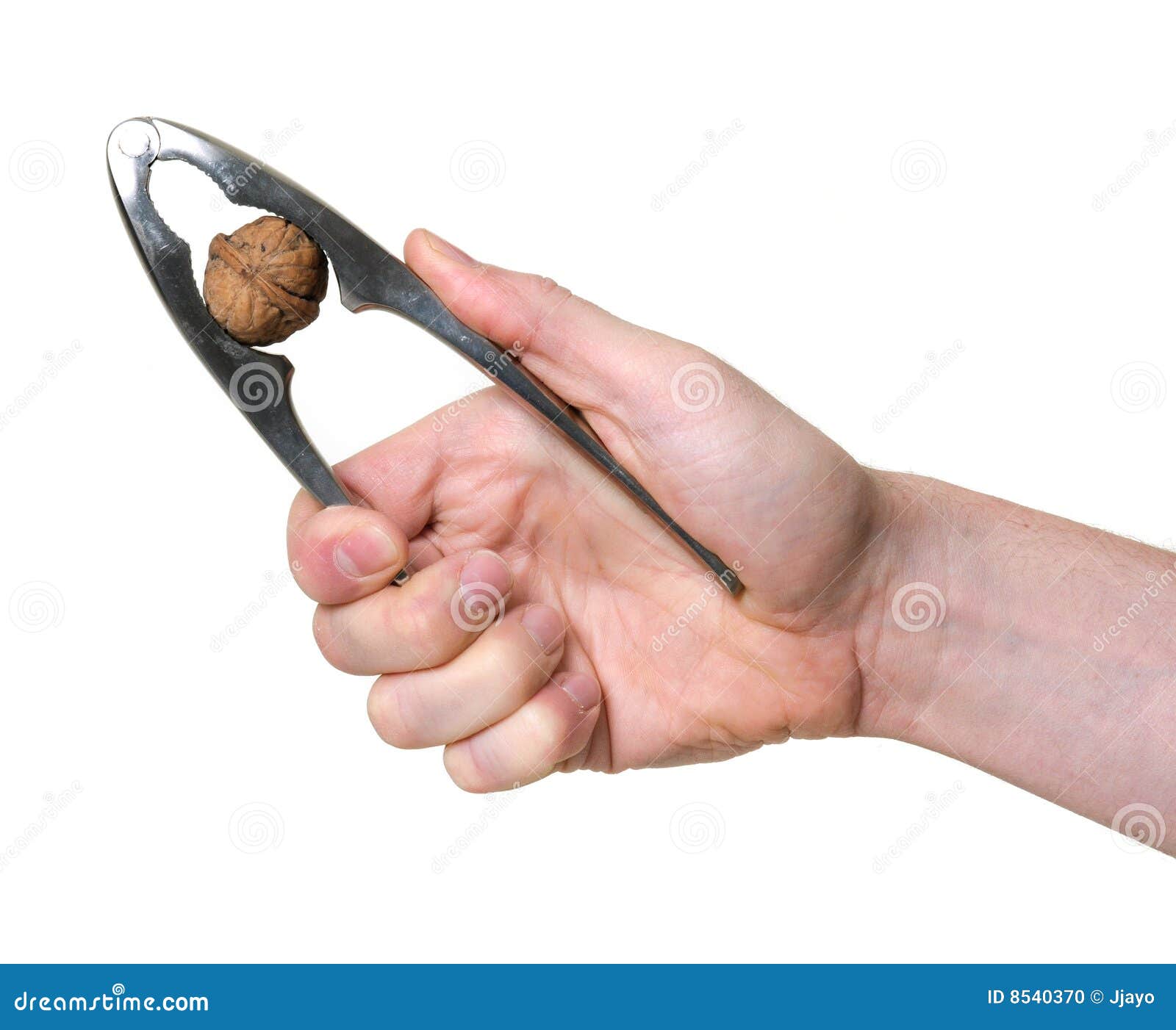 Hand cracking a walnut stock photo. Image of healthy, nutshell - 8540370