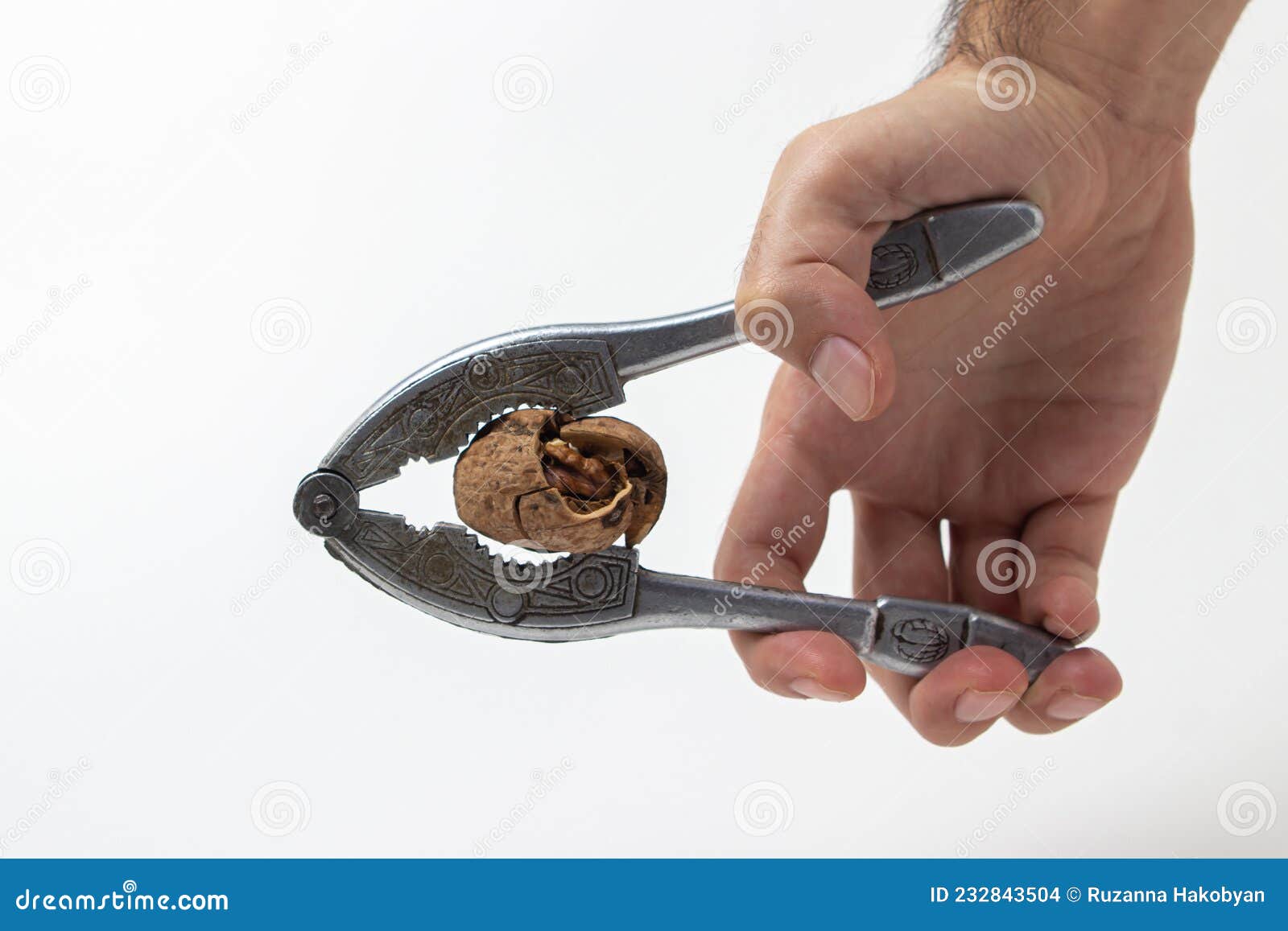 Hand Cracks a Nut with a Nutcracker. Stock Photo - Image of crack ...