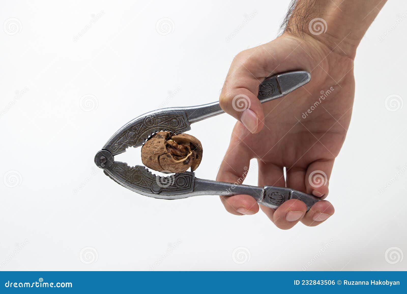 Nutcracker Cracks Walnut Isolated On A White Background Stock Image ...