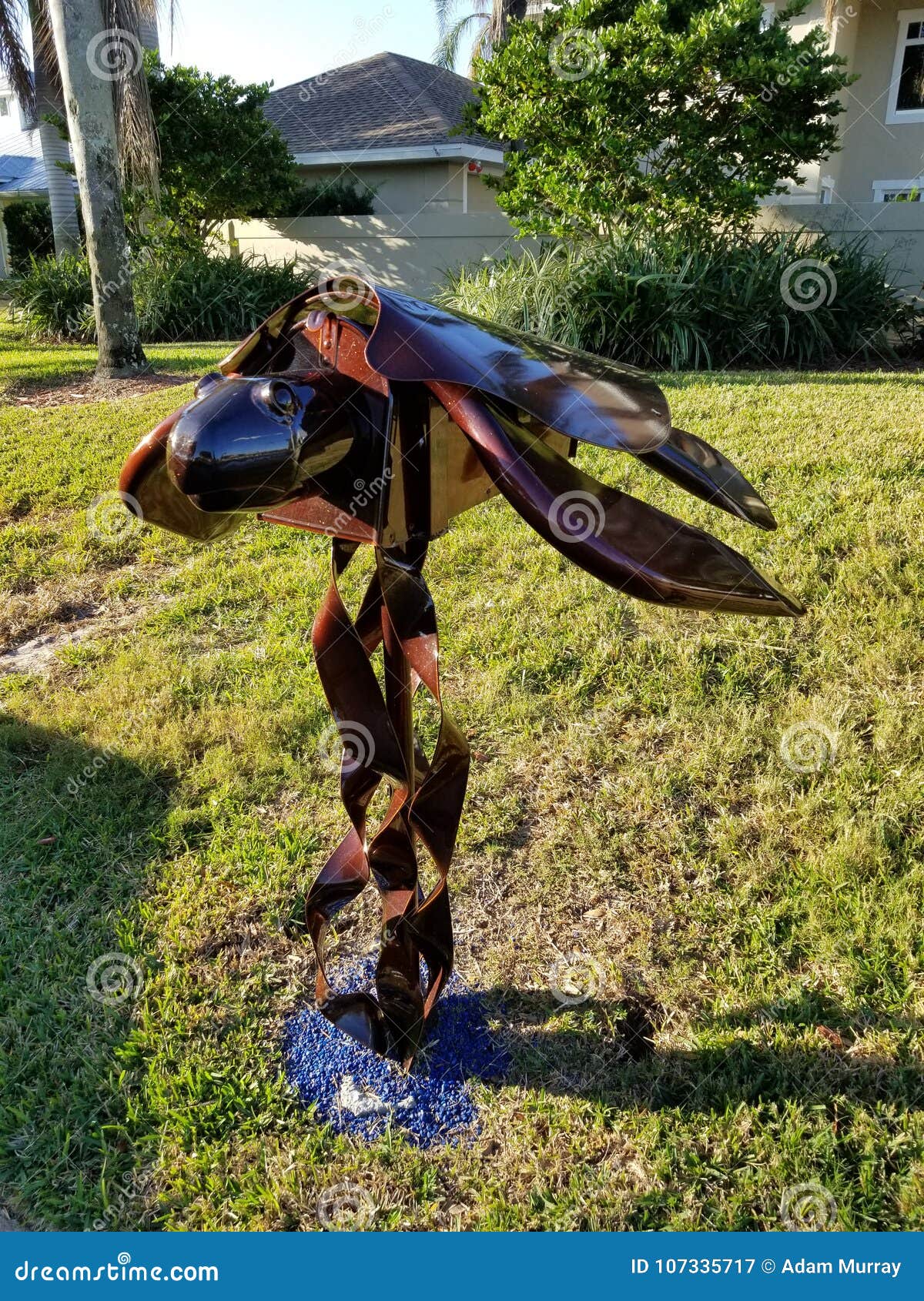 Turtle Mailbox Photos - Free & Royalty-Free Stock Photos from Dreamstime