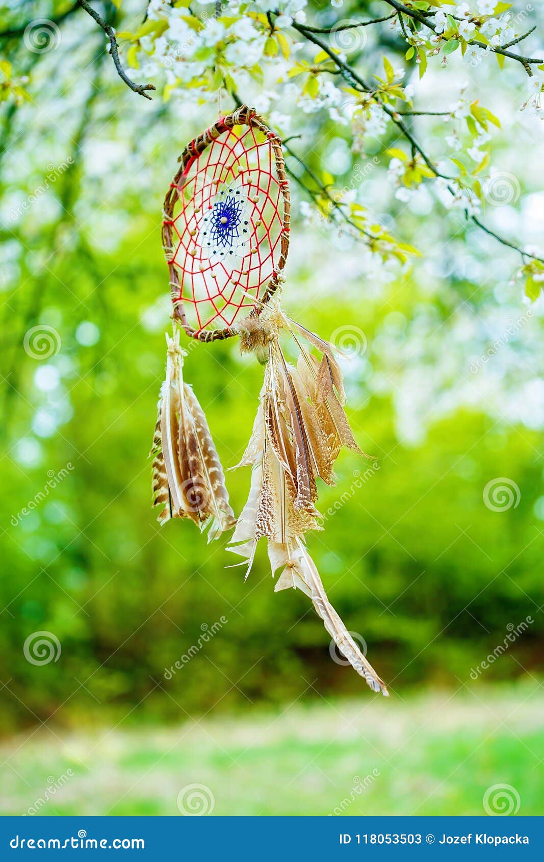 Hand Crafted Dream Catcher with Feather Hanging on a Tree. Stock Image ...