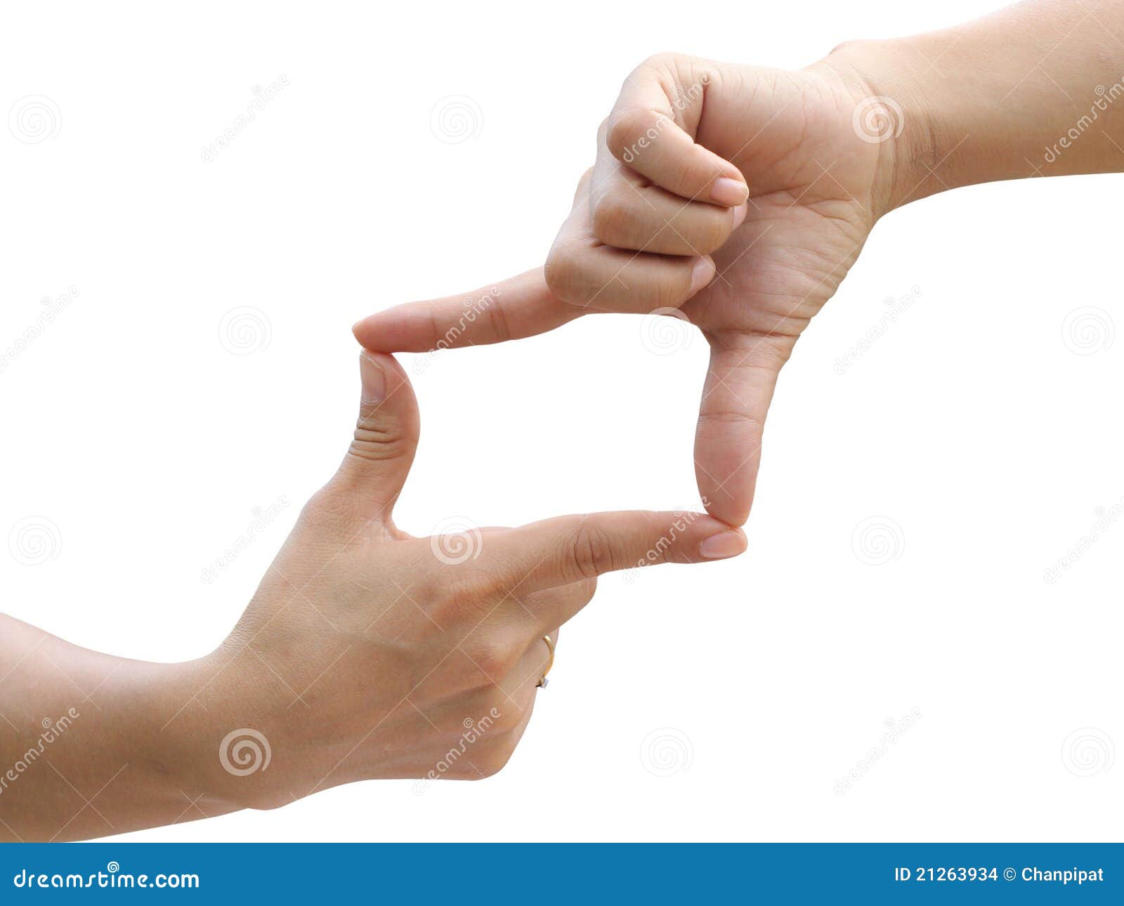Hand crop stock photo. Image of concept, white, touching - 21263934