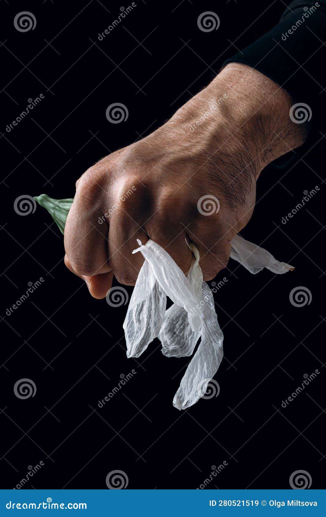 Hand Crumpling White Fragile Flower, Metaphor of Violence Abuse ...