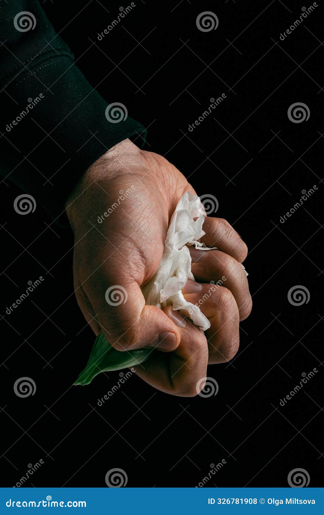 Hand Crumpling White Fragile Flower, Metaphor of Violence Abuse ...